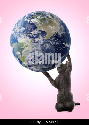 International cat day. Cute cat playing with earth globe on white ...