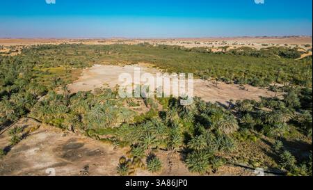 Oasis with palm grove, Tigui, Tibesti Mountains, Chad Stock Photo - Alamy