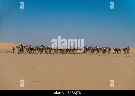 Camel caravan in the Tibesti Mountains, Chad Stock Photo - Alamy