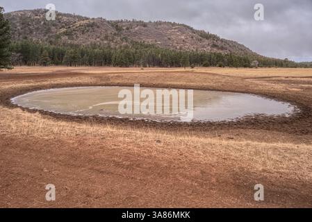 A cattle pond (livestock tank), partially frozen, Coconino National ...