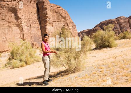 White saxaul (Haloxylon persicum), Sharaan Nature Reserve, AlUla ...