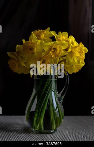 Vase with beautiful daffodils on dark background Stock Photo - Alamy