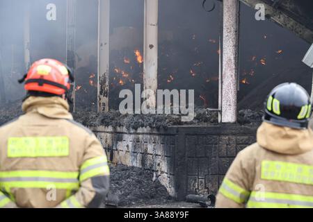 Forest fire MILS27032501 6 / Uiseong Korea, Republic Of Copyright: xx ...