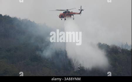 Forest fire MILS280325 9 / Uiseong Korea, Republic Of Copyright: xx ...