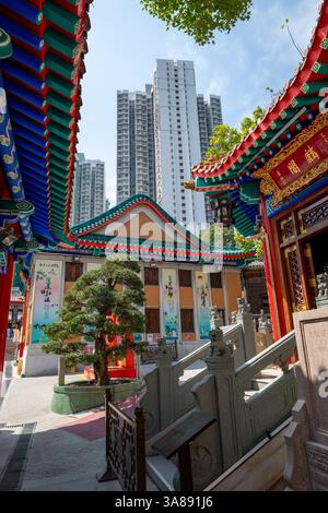 A general view showing the Chinese New Year Flowers display on Mong Kok ...