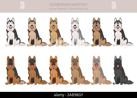 Gerberian Shepsky clipart. German Shepherd Siberian Husky mix ...
