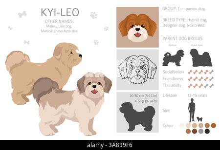 Kyi-Leo dog clipart. Maltese Lhasa Apso mix. Different coat colors set ...