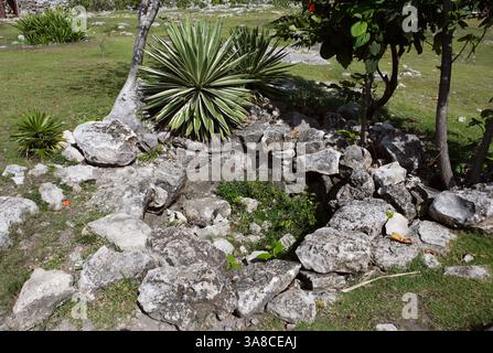 June 30, 2006 - Tulum, Mexico - The Temple of the Frescoes, detail of ...