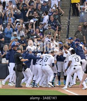 Tampa Bay Rays' Kameron Misner walks through the dugout before a ...