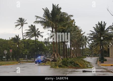 MIAMI BEACH, FL-SEPT 10: Jorge Reynoso and Noelia are seen during ...