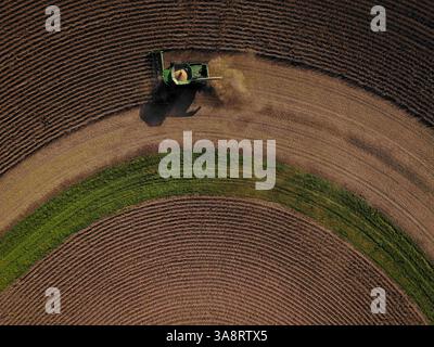 A combine harvests soy beans in Bennington, Neb., Tuesday, Sept. 29 ...