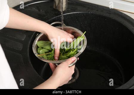 Washing Fresh Sorrel Leaves in Kitchen Sink Stock Photo - Alamy