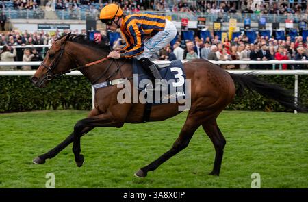 Jockey Kieran Shoemark and winner trainer Ed Walker (third right) with ...