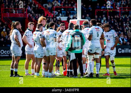 Team of Pau during the Top 14 match between Montpellier and Pau at ...