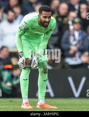 Lawrence Vigouroux, of Swansea City during the Sky Bet Championship ...
