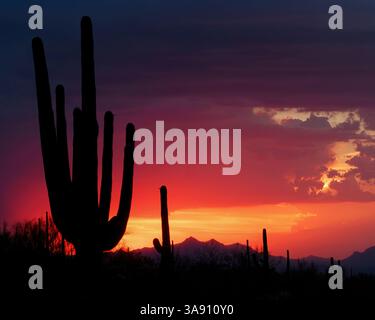 Sunset, Tucson, AZ Stock Photo - Alamy