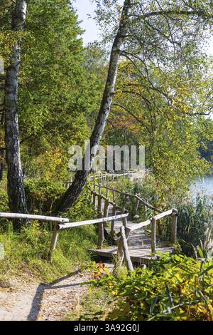 Wooden plank path at the Lake of Friendship in Koengisbruecker Heide ...