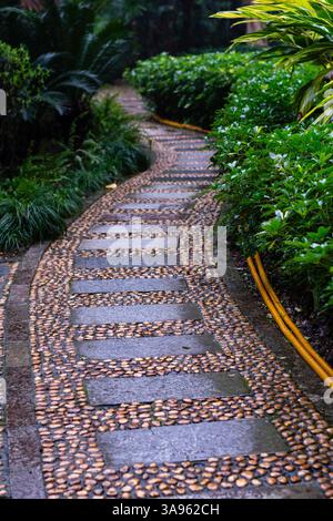 Enchanted Forest Pathway: Sun-Dappled Trail Winding Through Emerald ...