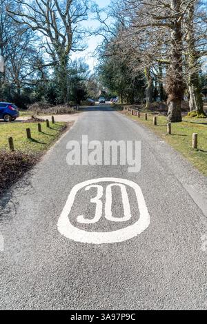 Speed limit sign of 30 painted on the ground Stock Photo - Alamy