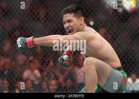 David Martinez of Mexico reacts after victory against Saimon Oliveira ...