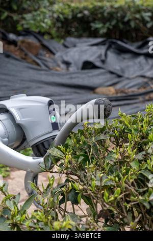 G02 bionic four-legged transport robot dog mimics humans picking tea at ...