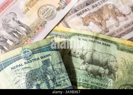 Nepal money. Nepalese rupees. Financial concept. Nepalese nature on ...