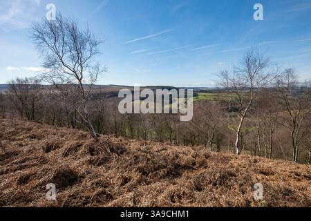 View from Birchen Edge in the Peak District national park, Derbyshire ...