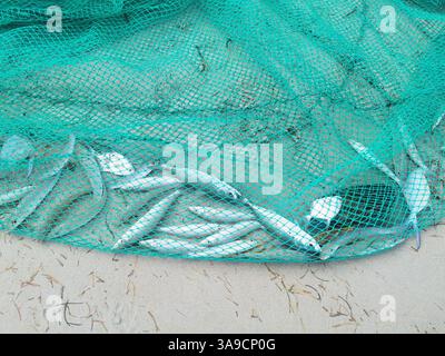 13 March 2025, Seychelles, Mahé: The beach of Beau Vallon. Beau Vallon ...
