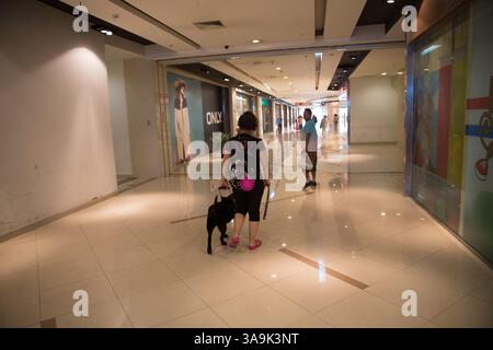 Chen and her guide dog Jenny in a shopping mall Stock Photo - Alamy
