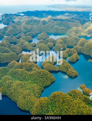 Breathtaking Aerial View of Sohoton Cove – A Hidden Paradise of Lush ...