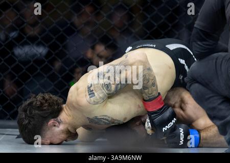 Miguel Angel 'Colombo' during the WOW 22 Press Conference at Teatro ...