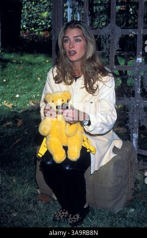 Oct 27, 1996 - Los Angeles, CA, USA - DENISE RICHARDS at the 'Romeo ...