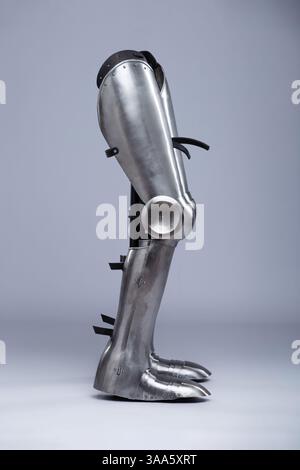 Medieval Steel Greaves for Knights. Full leg metal armor with knee and ...