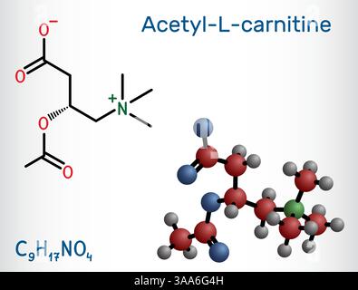 Carnitine (L-carnitine) molecule. Structural chemical formula and ...