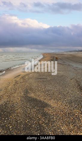 The Caspian Sea coast in spring Stock Photo - Alamy