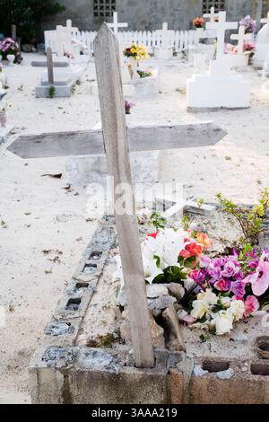 May 28, 2006; San Pedro, Ambergris Caye, BELIZE; A boxer rests in his ...