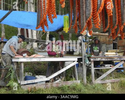 Native Alaskans clean and prepare Sockeye salmon for smoking October 23 ...