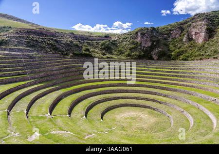 Moray eel in Peru Stock Photo - Alamy