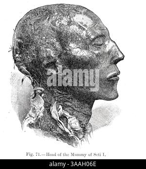 Seti II mummy Stock Photo - Alamy