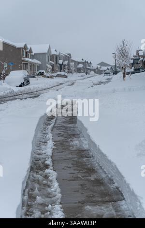 Cleared Pathway Amidst Snowy Suburban Landscape Stock Photo - Alamy