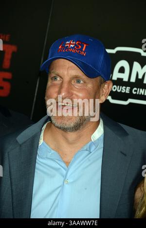 Actor Woody Harrelson attends the premiere of Focus Features ...