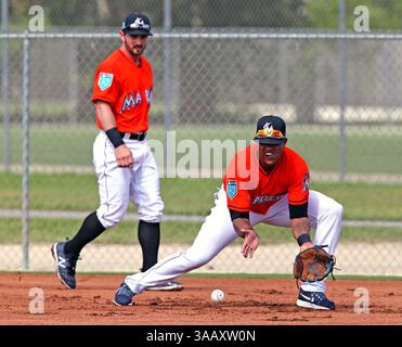 Miami Marlins infielder Starlin Castro (13) throws to first base during ...