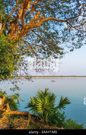 Laos, Champasak province, Champassak village, the banks of the Mekong ...