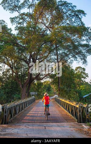 Laos, Champasak province, Si Pan Don region (or 4000 islands region ...