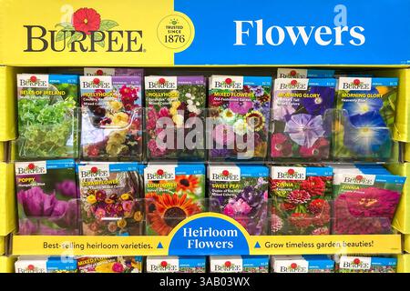 HUDSON, WI, USA, JANUARY 10, 2025: Burpee garden bean seed display and ...