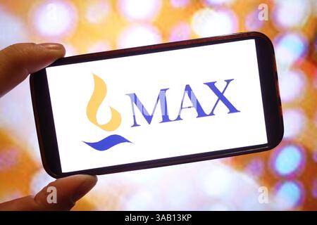 In this photo illustration, the Max Financial Services logo is ...