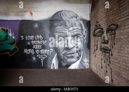 Graffiti by JenksArt underneath the M4 motorway at Bridge Street in ...