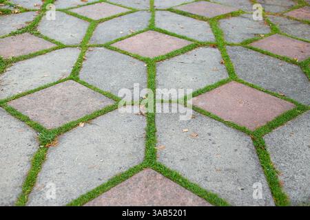 Hexagonal Concrete Paving Stones with Green Grass Pattern, Geometric ...