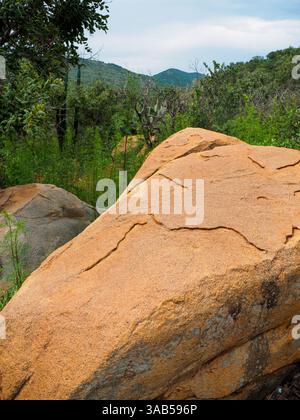 Shatter cones in Booysens Formation, Vredefort Dome, South Africa Stock ...