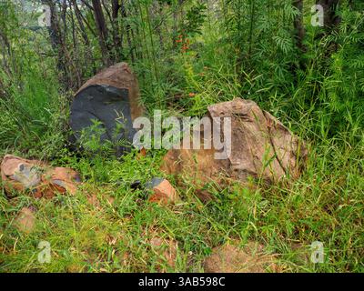 Shatter cones in Booysens Formation, Vredefort Dome, South Africa Stock ...